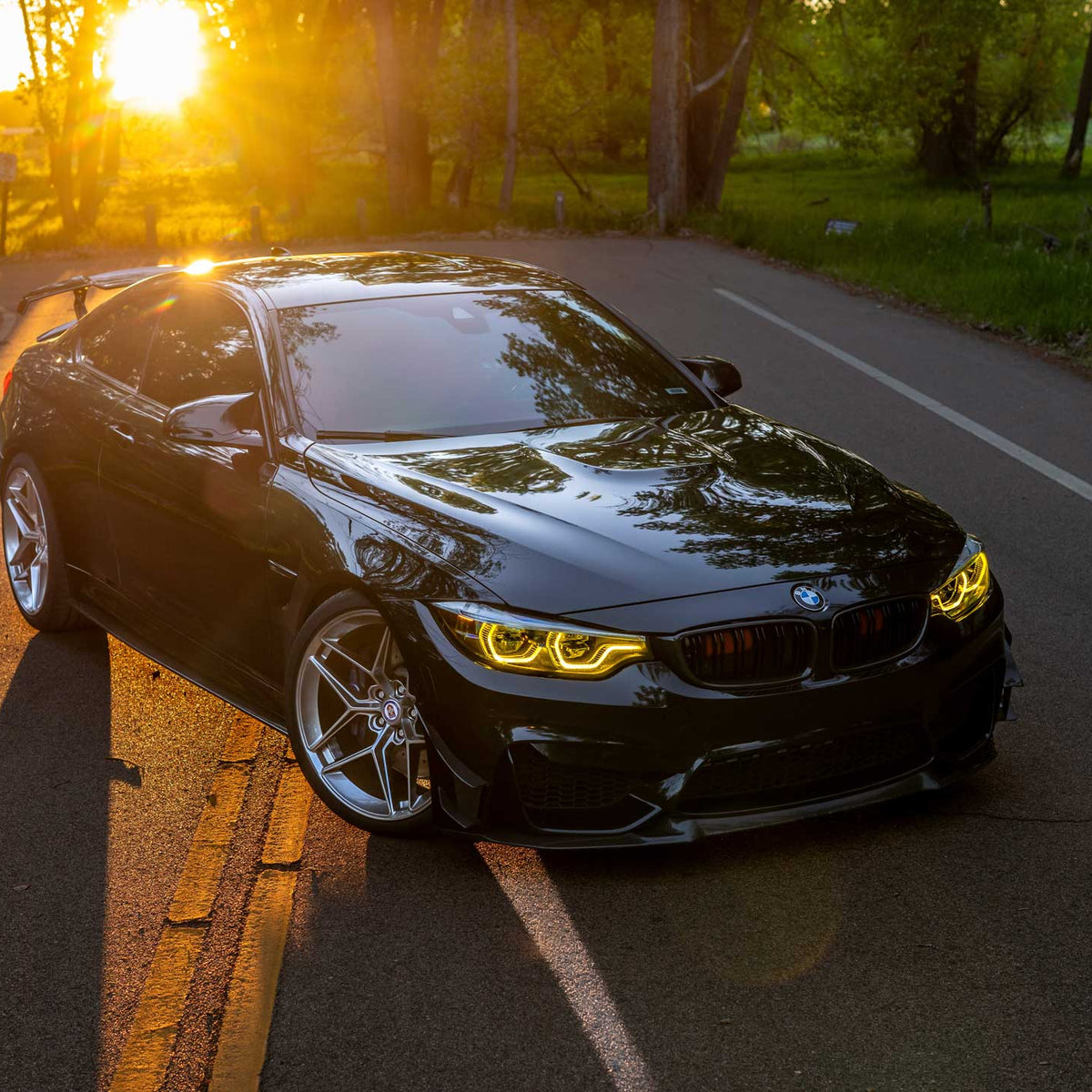Paint Protection Film (PPF) for Cars: Pros, Cons, and Alternatives ...